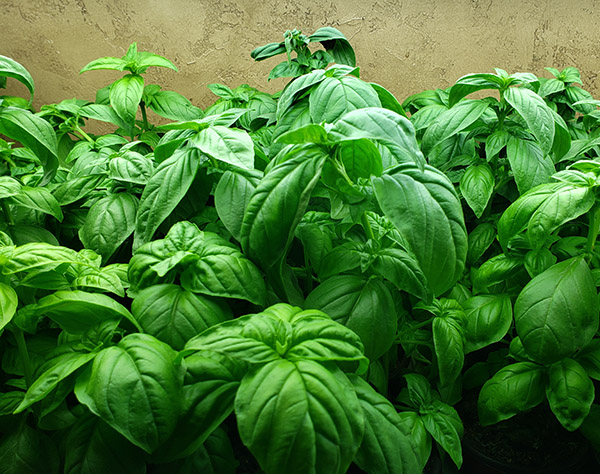 Best Regards, 913-912-7238, home page